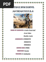 Math Sba Sample 1 | PDF | Chart | Track And Field