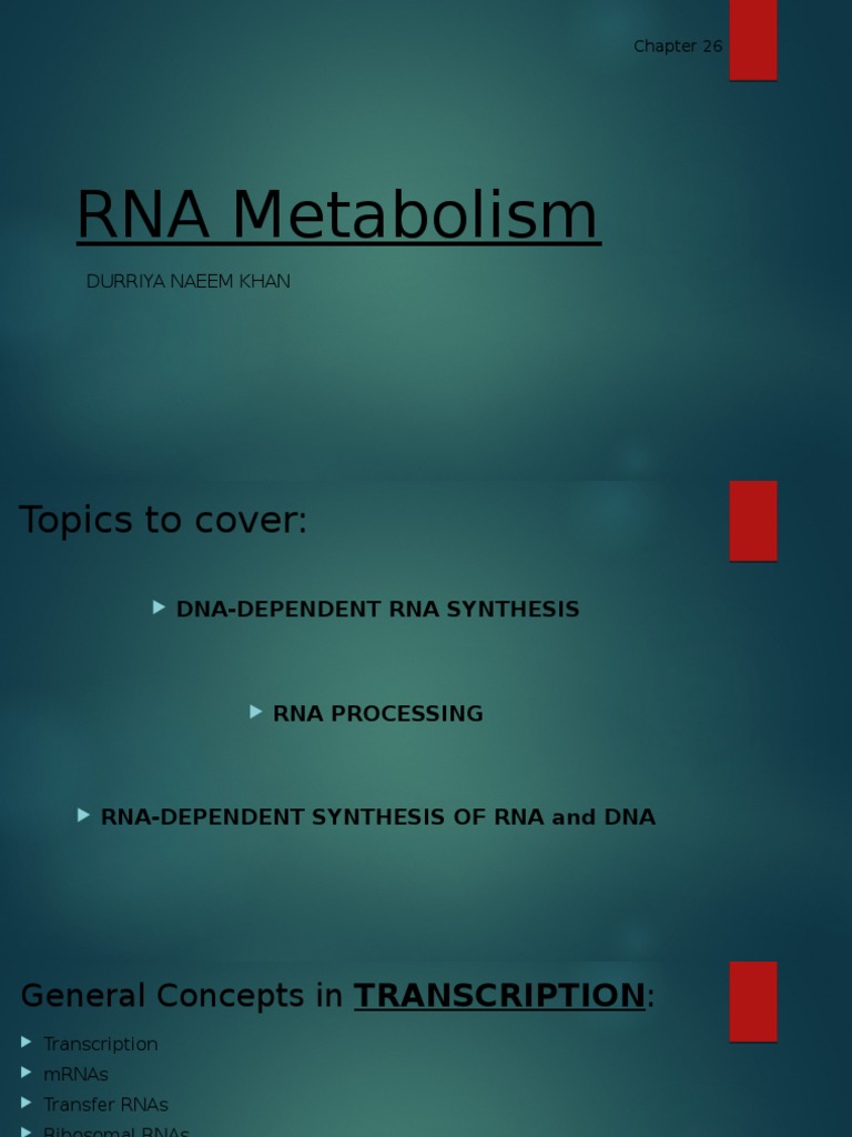 RNA Metabolism: Durriya Naeem Khan | PDF | Rna Splicing | Rna