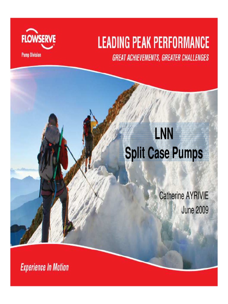FLOWSERVE LNN Training Customer | PDF | Bearing (Mechanical) | Pump