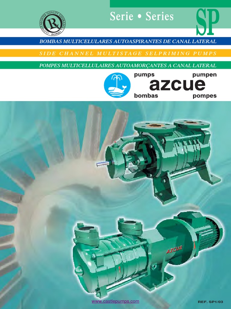 Azcue Multistage Pumps | PDF | Vapor | Chemistry