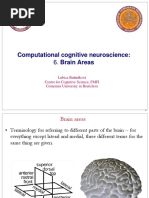 Brodmann Areas of The Brain | PDF | Frontal Lobe | Cerebral Cortex