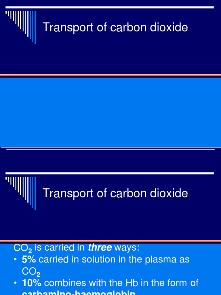 Transport of Carbon Dioxide | PDF