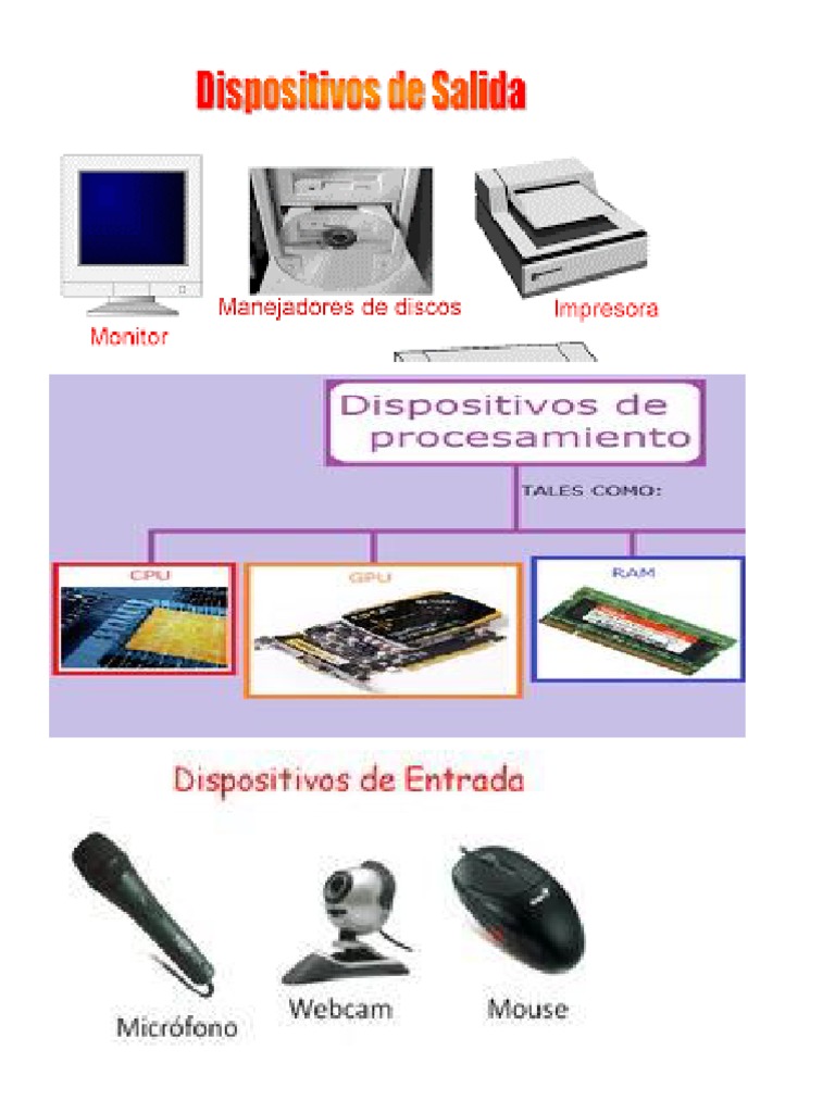 10 Ejemplos de Hardware | PDF | Hardware de la computadora | Ciencias de la Computación
