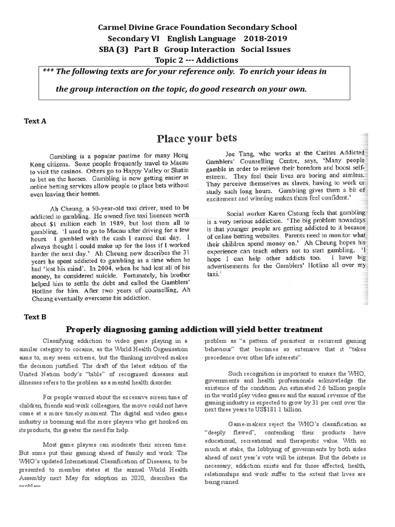 Dse English Sba Group Interaction Sample | PDF | Video Games | Consumerism