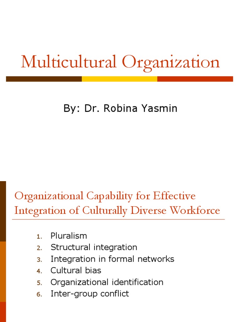 Multicultural Organization | PDF | Multiculturalism | Identity (Social ...
