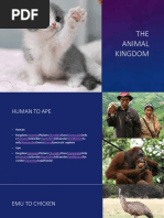 KPCOFGS Animal Classification Guide | PDF | Coyote | Canis
