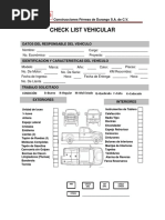 Formato de Control Vehicular | PDF