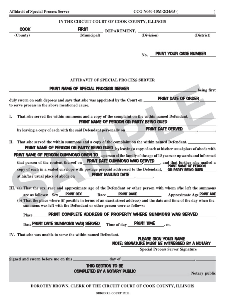 Affidavit of Special Process Server CCGN060 - Sample PDF | PDF