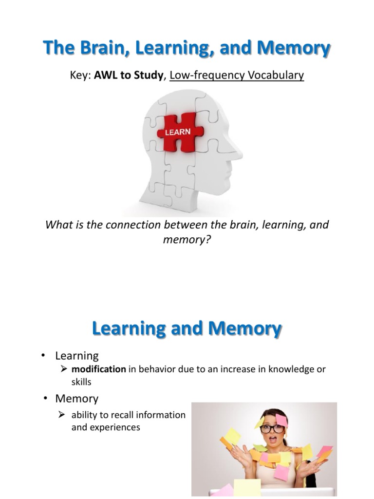 The Brain, Learning, and Memory: Key: AWL To Study, Low-Frequency Vocabulary | PDF | Memory ...