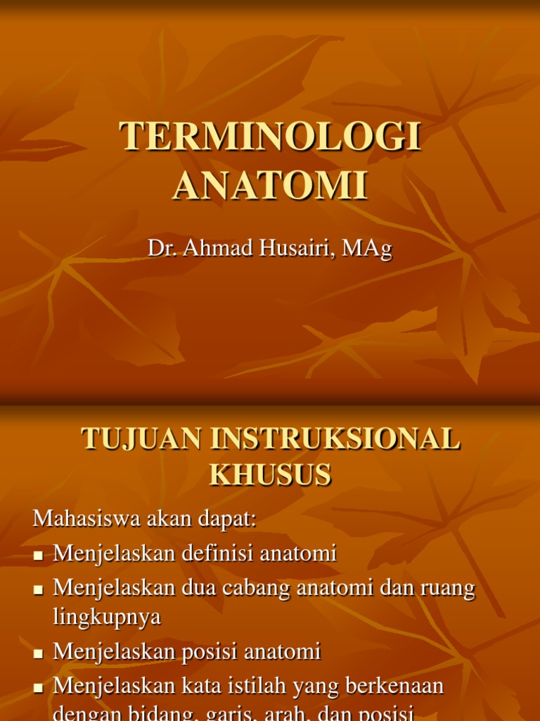 Terminologi Anatomi | PDF