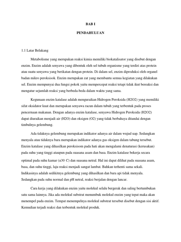 Enzim Katalase | PDF