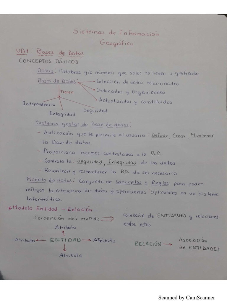 Resumen Sig Final | PDF