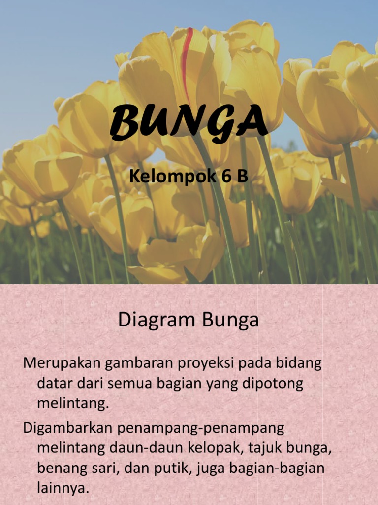 Diagram dan Rumus Struktur Bunga | PDF