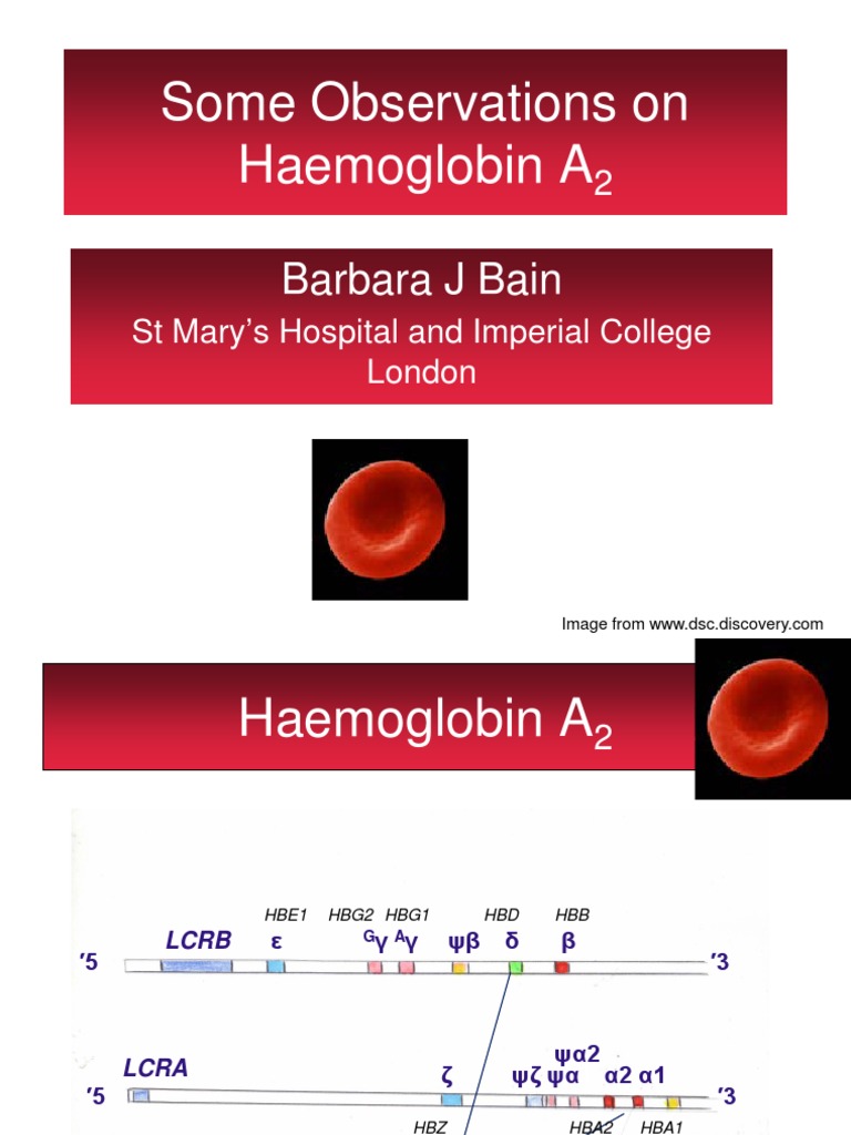 Interpret HbA2 With Caution Per DR Barbara Bain | PDF | High ...
