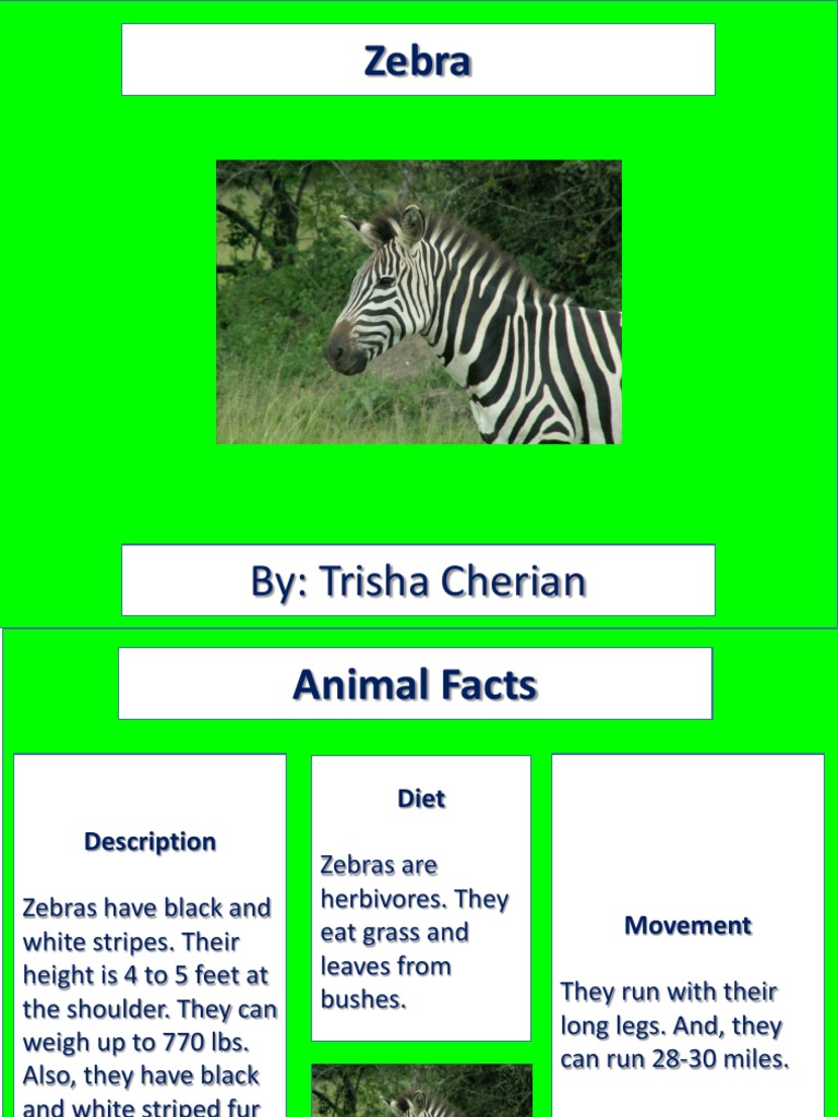 Zebra Project | PDF | Zebra | Organisms
