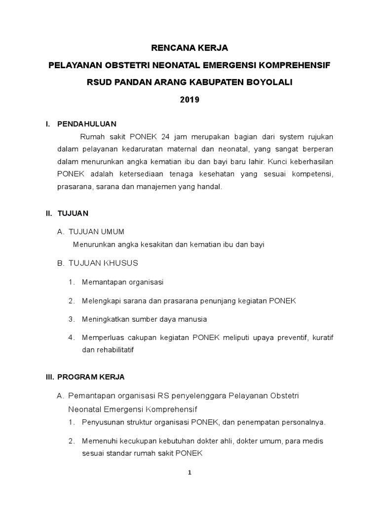Program Kerja Ponek 2019 | PDF