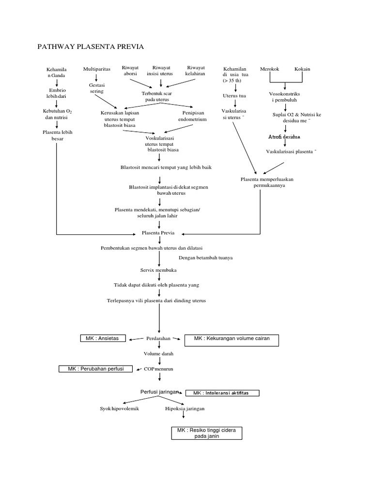 Pathway Plasenta Previa | PDF
