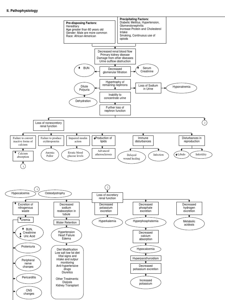 Esrd Diagram Pathophysiology | PDF | Kidney | Renal Function