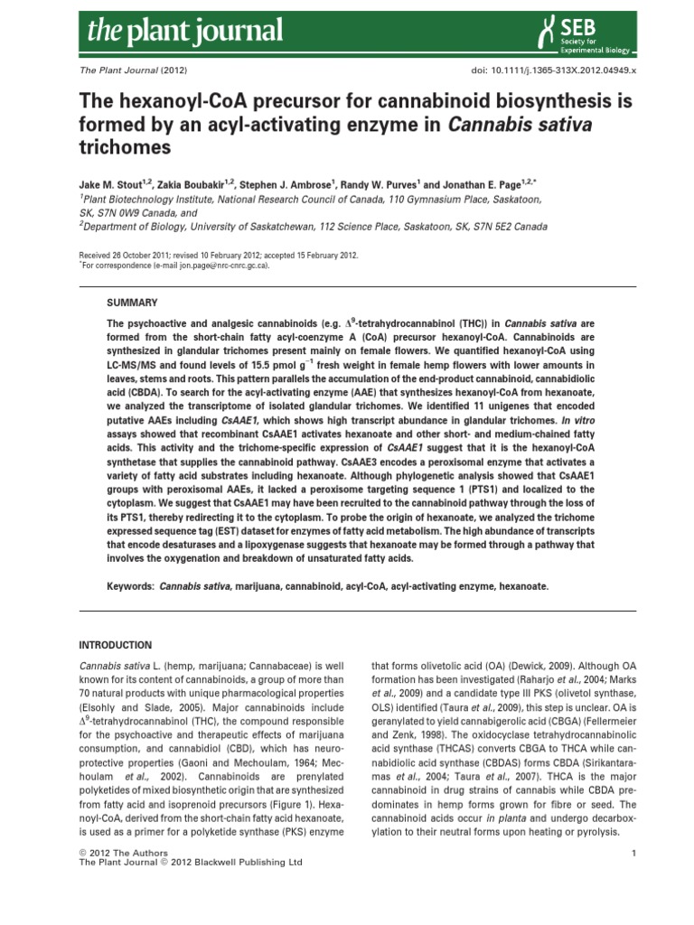 The Hexanoyl Coa Precursor For Cannabinoid Biosynthesis Is Formed By An