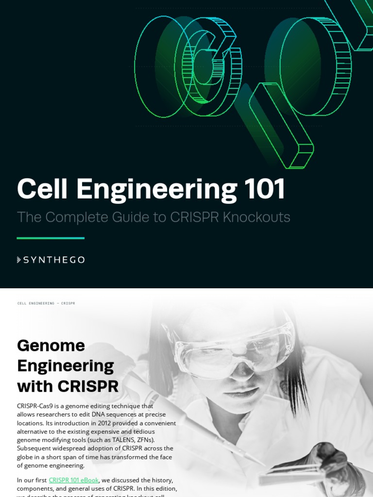 Cell Engineering 101 | PDF | Gene Knockout | Crispr