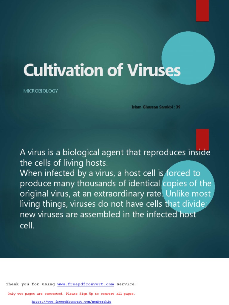 Cultivation of Viruses: Microbiology | PDF