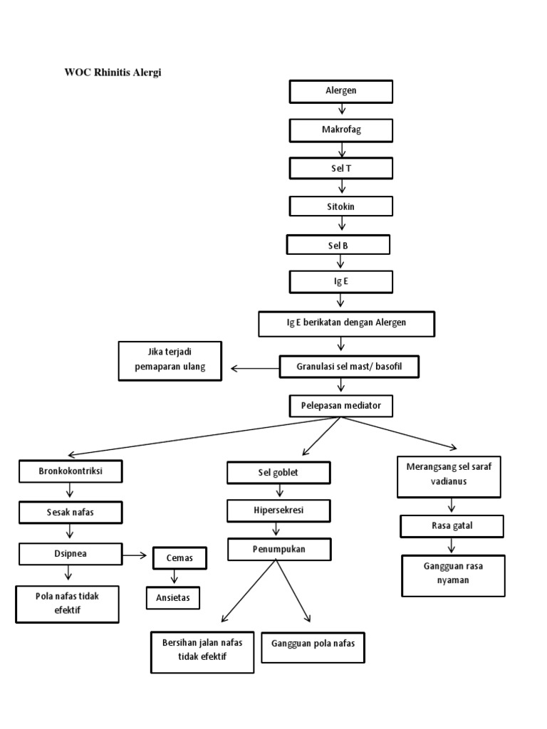 WOC Rhinitis Alergi | PDF