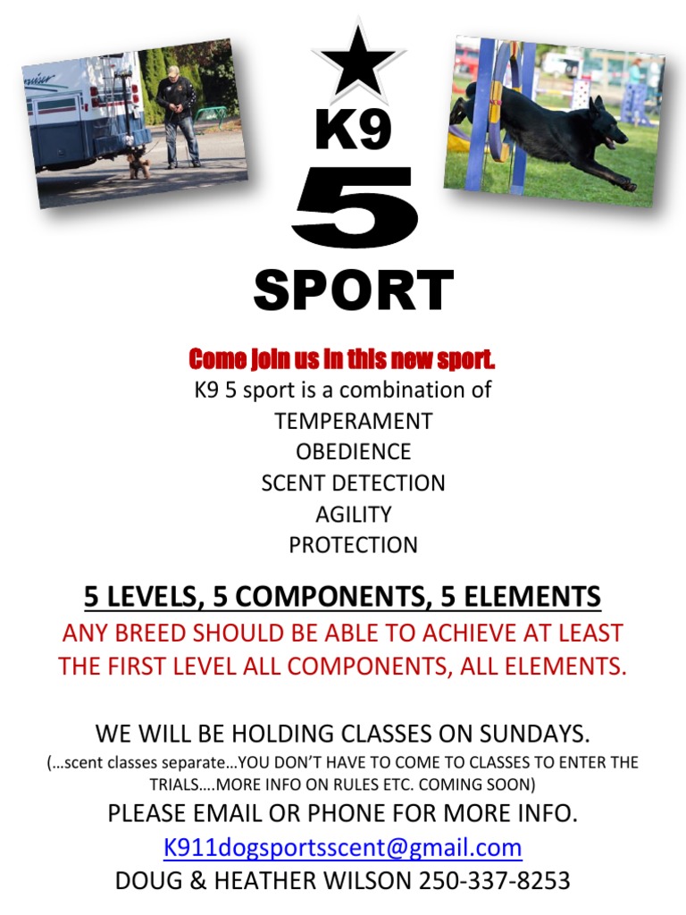 k9 5 Sport Poster | PDF