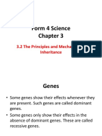 Genetic Final Exam | PDF | Dominance (Genetics) | Genetics