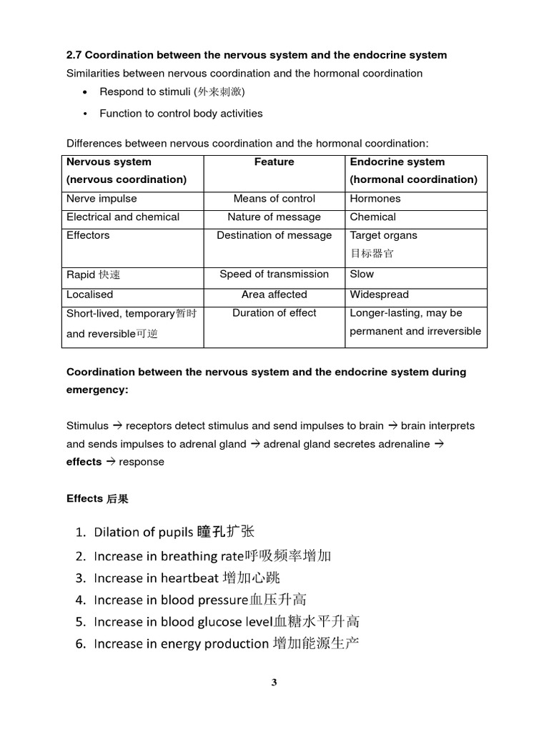 Science F4 Chapter 2 Body Coordination 2.7 2.8 2.9 2.10 Notes | PDF ...
