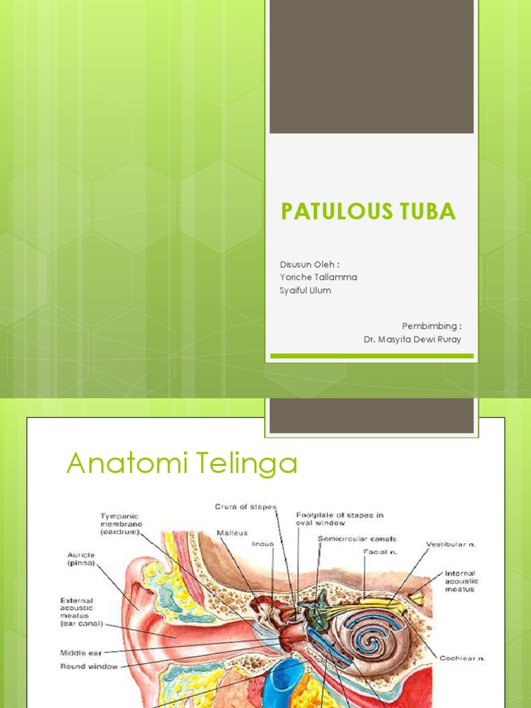 Patulous Tuba | PDF | Pengembangan Diri | Sains & Matematika