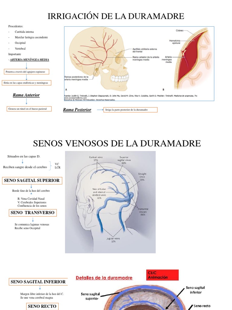 Irrigación de La Duramadre | PDF