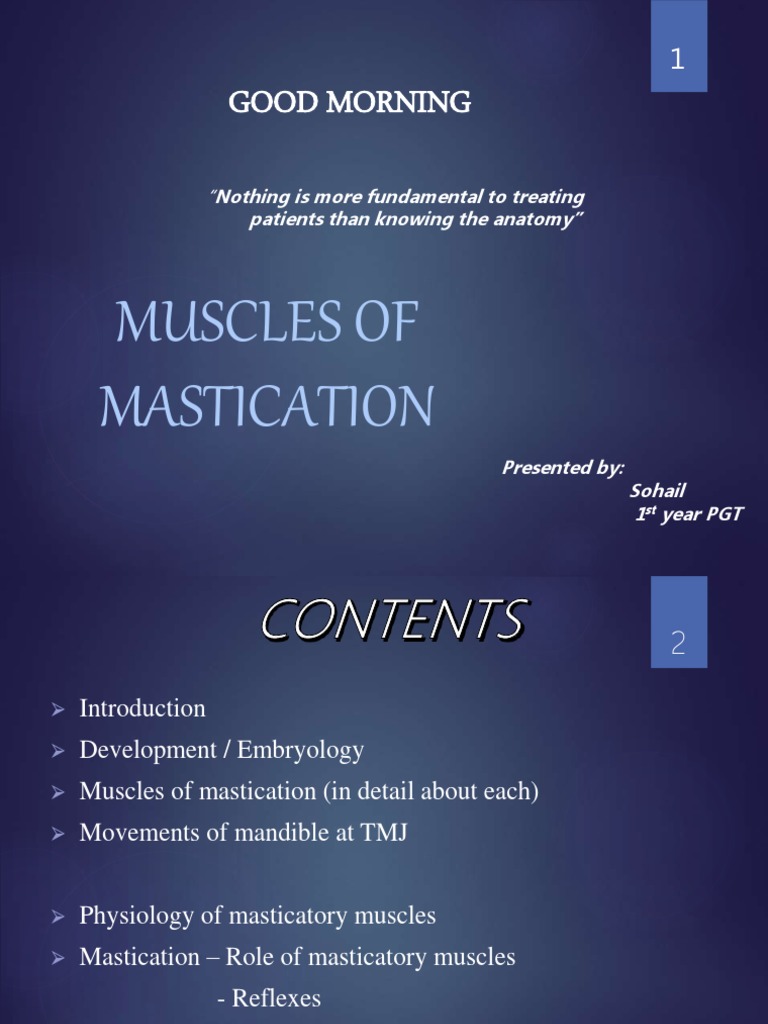 Good Morning: Muscles of Mastication | PDF | Myofascial Trigger Point ...