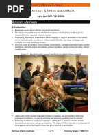 Canine and Feline Tail Amputation: Clinical Techniques | PDF | Surgery ...
