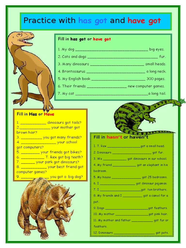 Exercises With The Verb Have Got | PDF