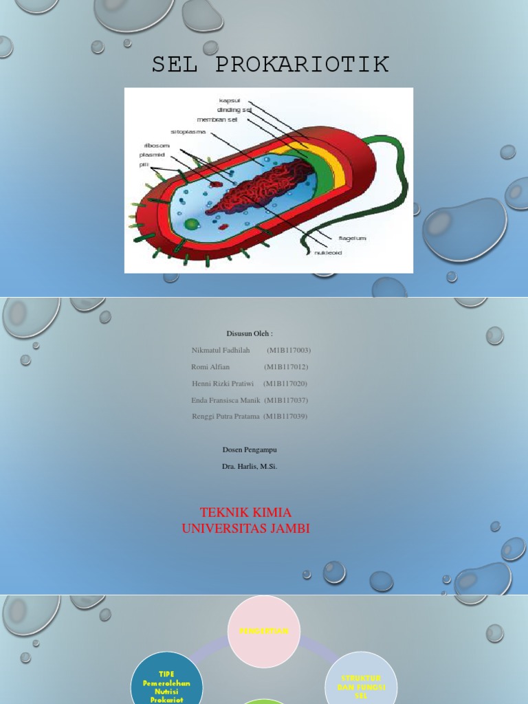 Sel Prokariotik PPT KEL 8 Ter Fix | PDF