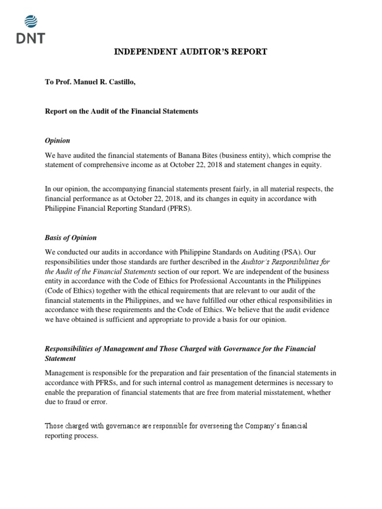 Independent Auditor Report | PDF | Financial Audit | Audit