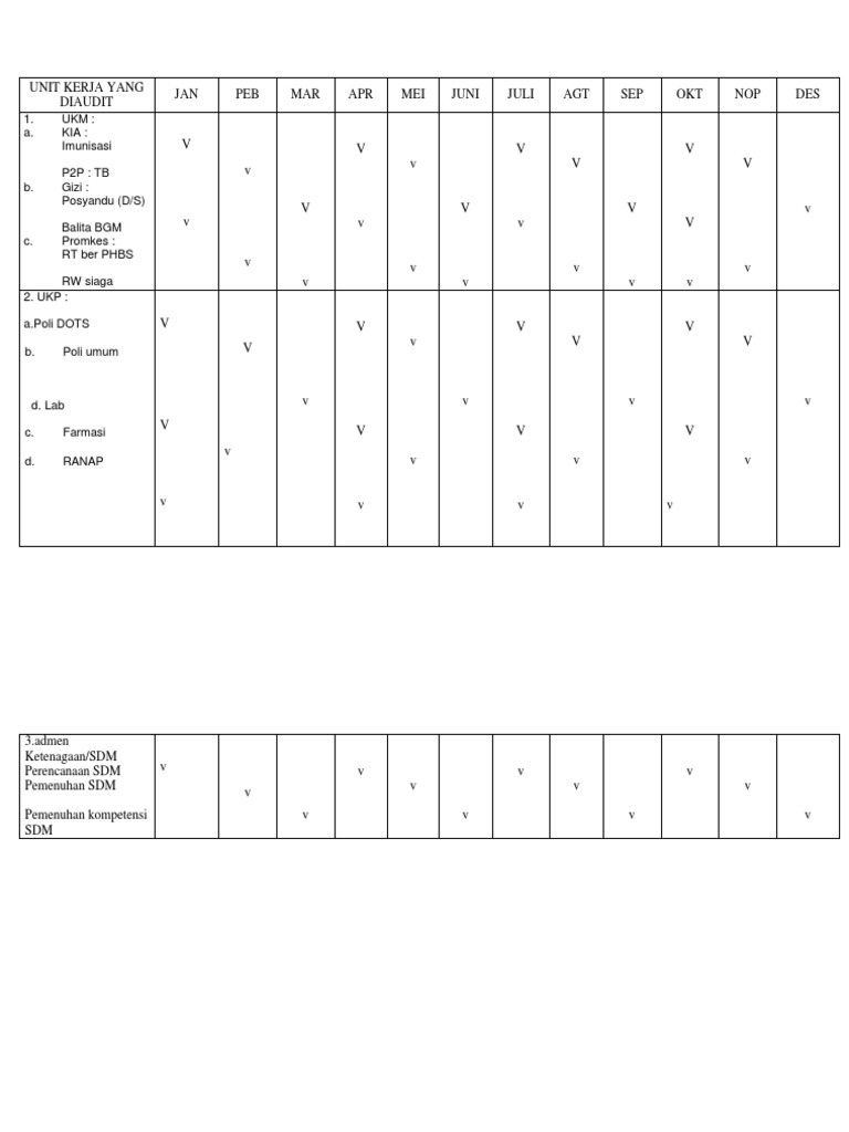 Jadual Audit Internal 1 Tahun | PDF