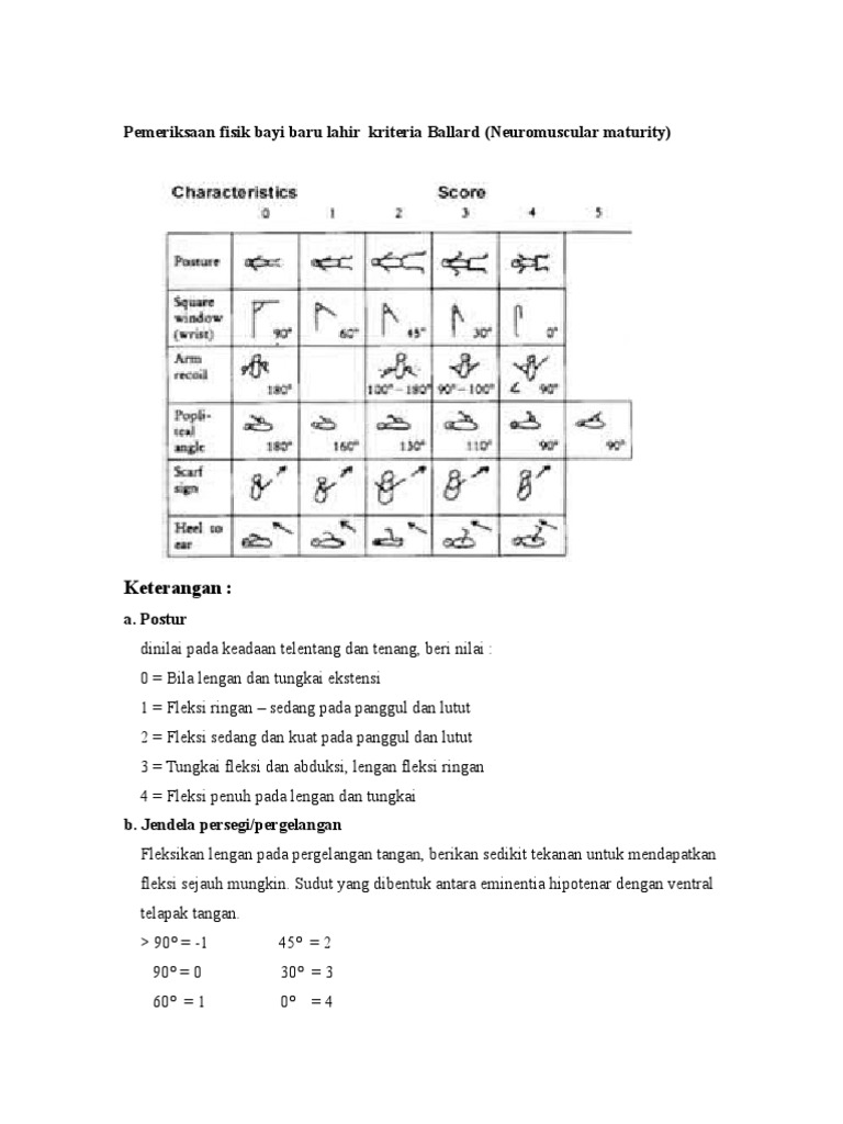 Pemeriksaan Fisik Bayi Baru Lahir Kriteria Ballard & Dubowitz | PDF
