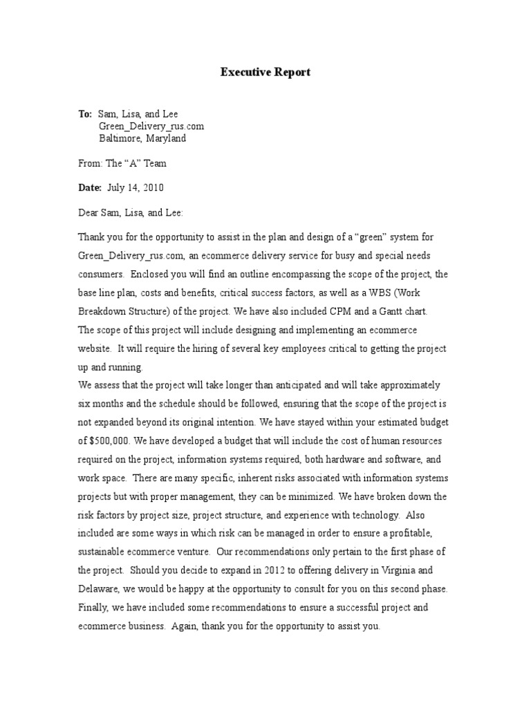 Executive Report: To: Sam, Lisa, and Lee | PDF | Internet | Risk