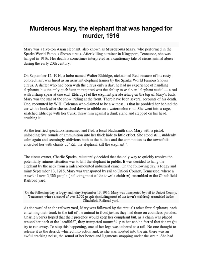 Murderous Mary, The Elephant That Was Hanged For Murder, 1916 | PDF ...