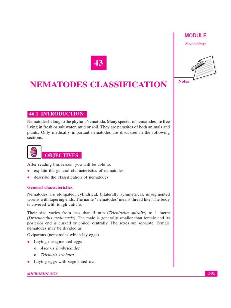 Nematode Classification | PDF | Nematode | Animals And Humans
