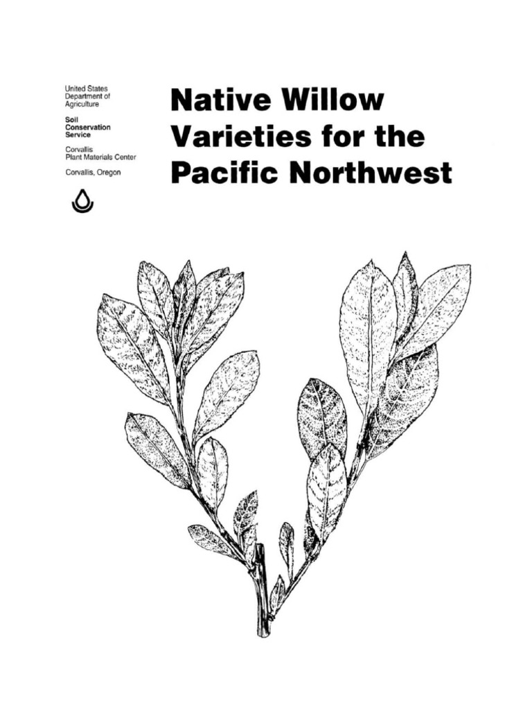 Native Willow: Varieties For The Pacific Northwest | PDF | Riparian ...
