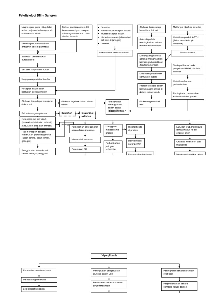 Patofisiologi DM+Gangren | PDF