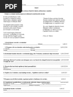 Test Substantivul Clasa 5 | PDF