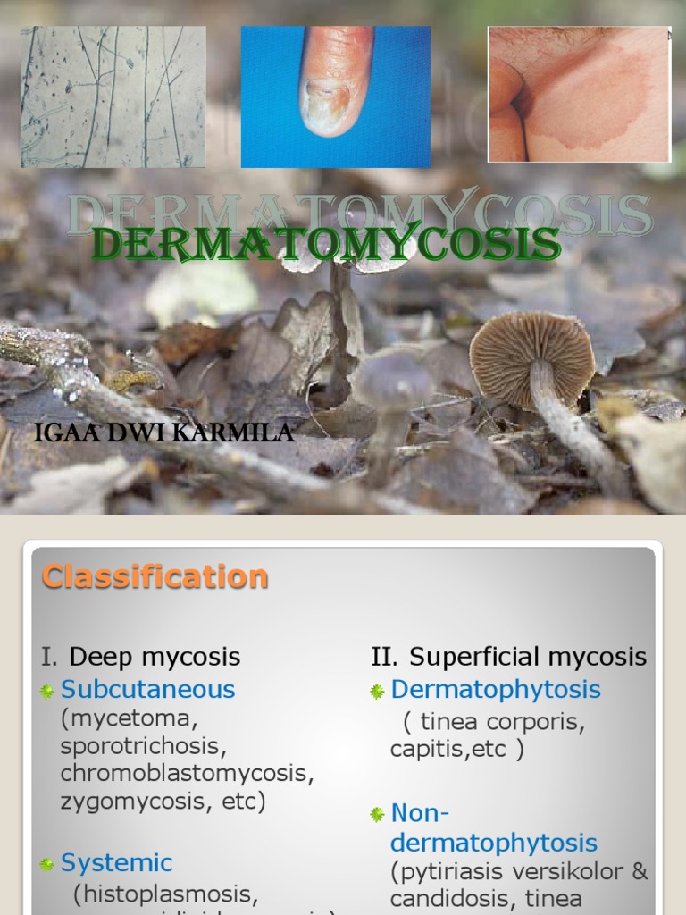 Dermatomikosis | PDF | Ilmu Sosial | Kesehatan Holistik