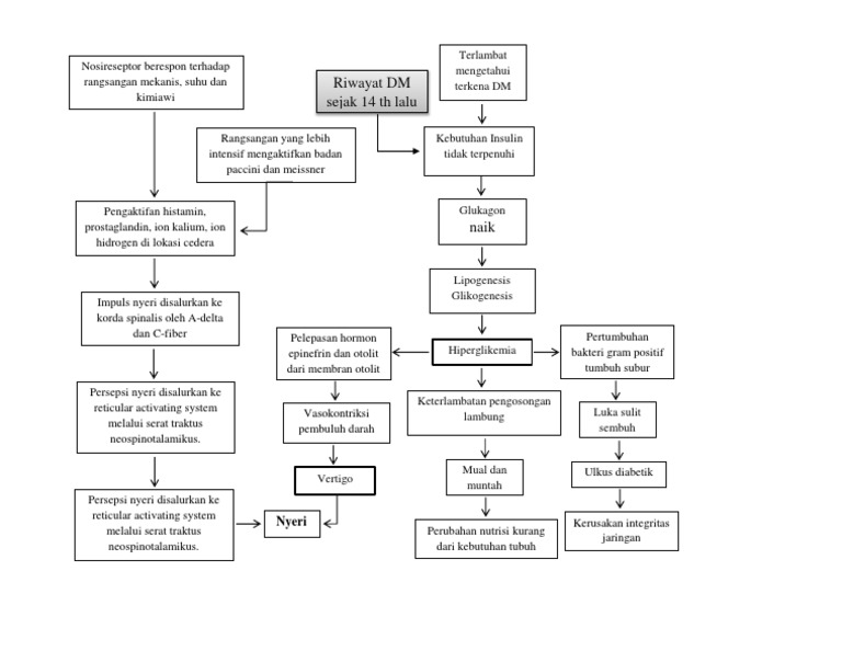 Pathway Vertigo Dan DM | PDF