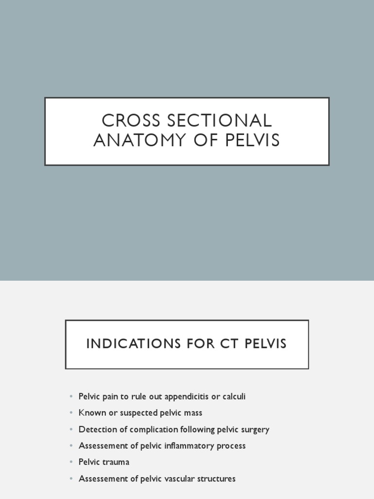 Cross Sectional Anatomy of Pelvis | Download Free PDF | Pelvis | Human ...