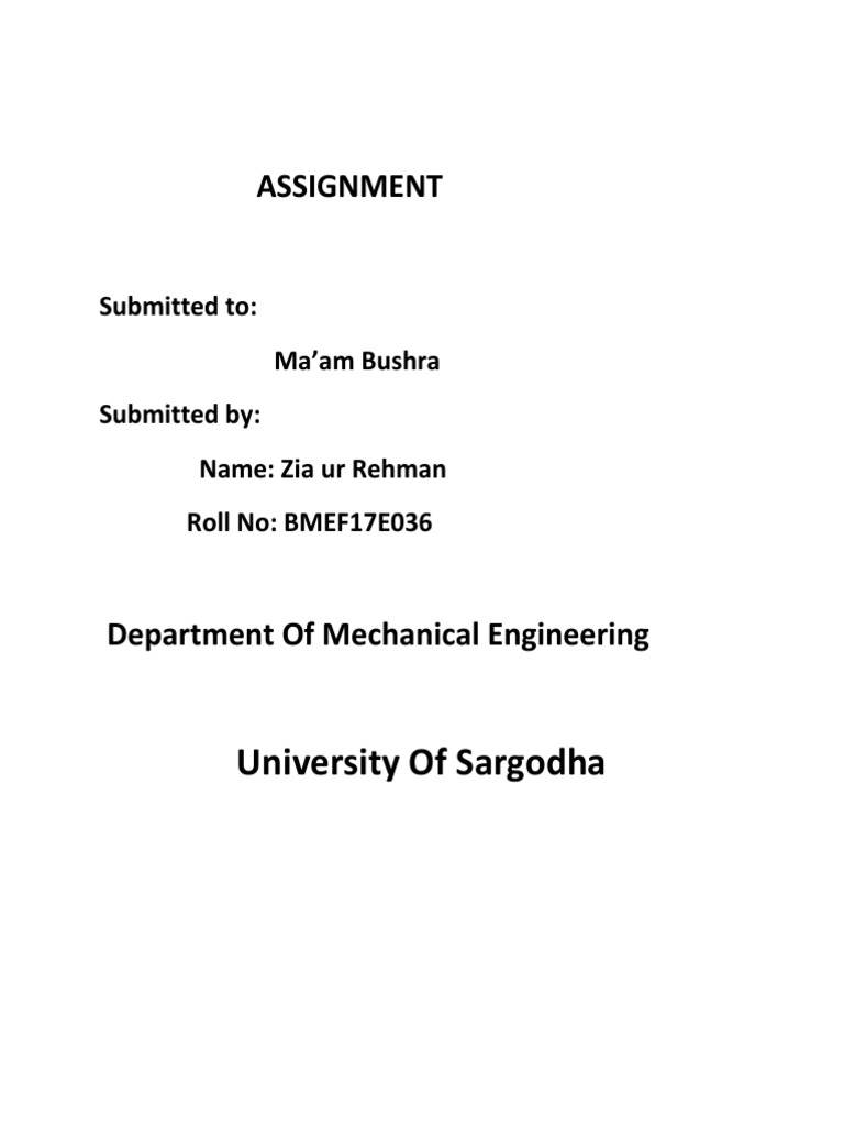 Assignment: University of Sargodha | PDF | Product Lifecycle | Computer ...
