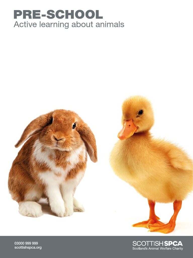 Scottish Spca Pre School | PDF | Animals And Humans