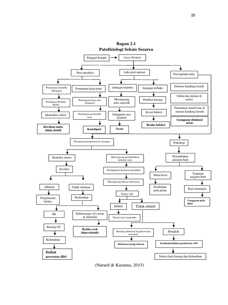 Patofisiologi dan Pathway SC Postpartum | PDF